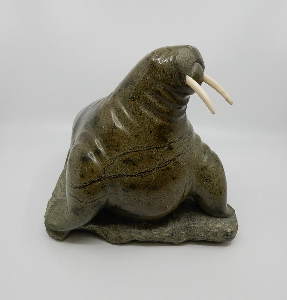 Walrus – The Snow Goose