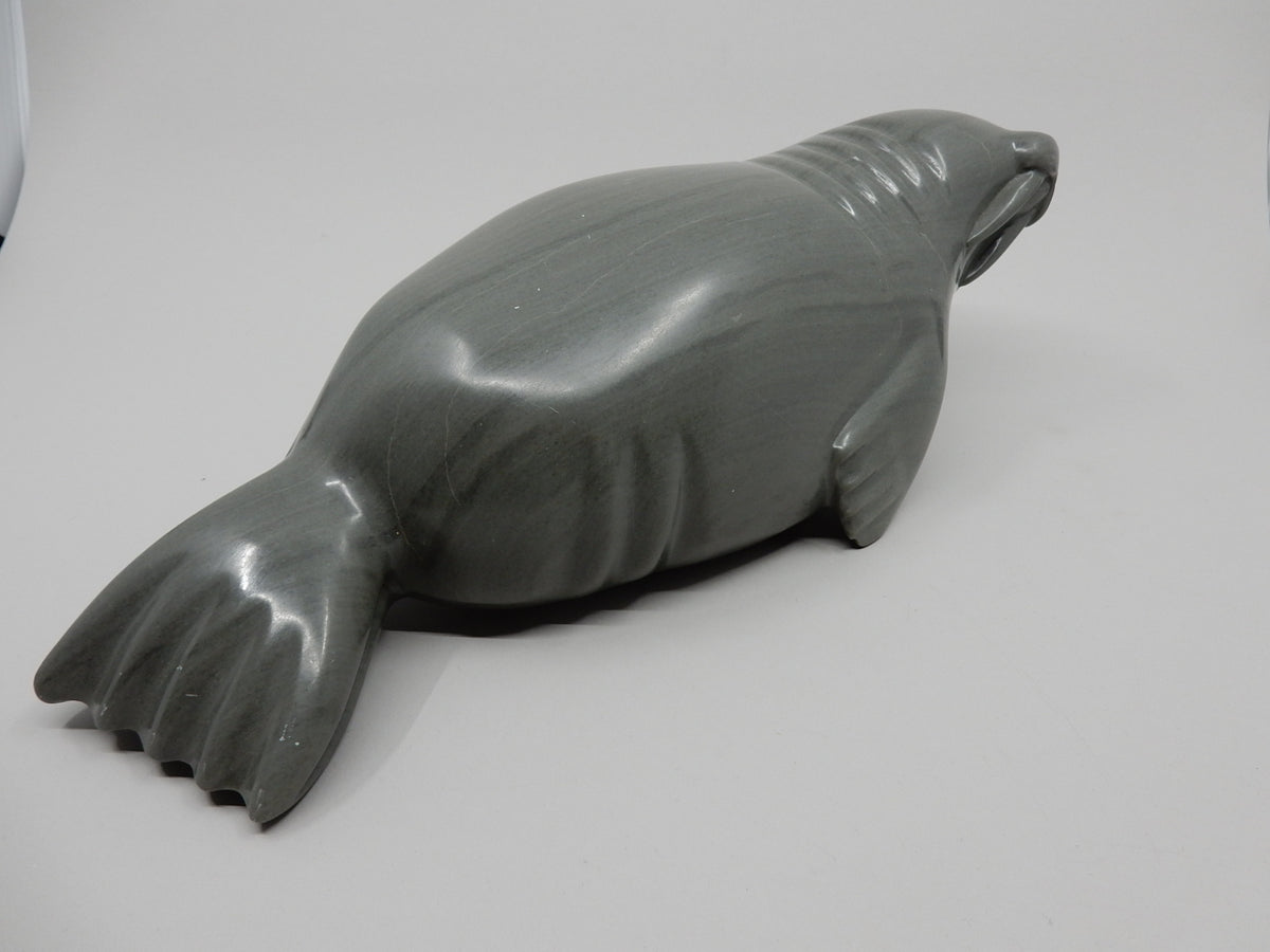 Walrus – The Snow Goose